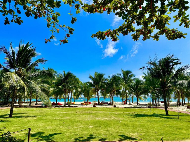 CON DAO TOURS » CON DAO ECO-TOURISM